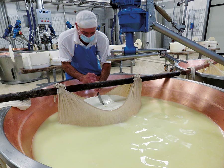 Torna Caseifici Aperti, la festa del parmigiano reggiano - AND - A ...