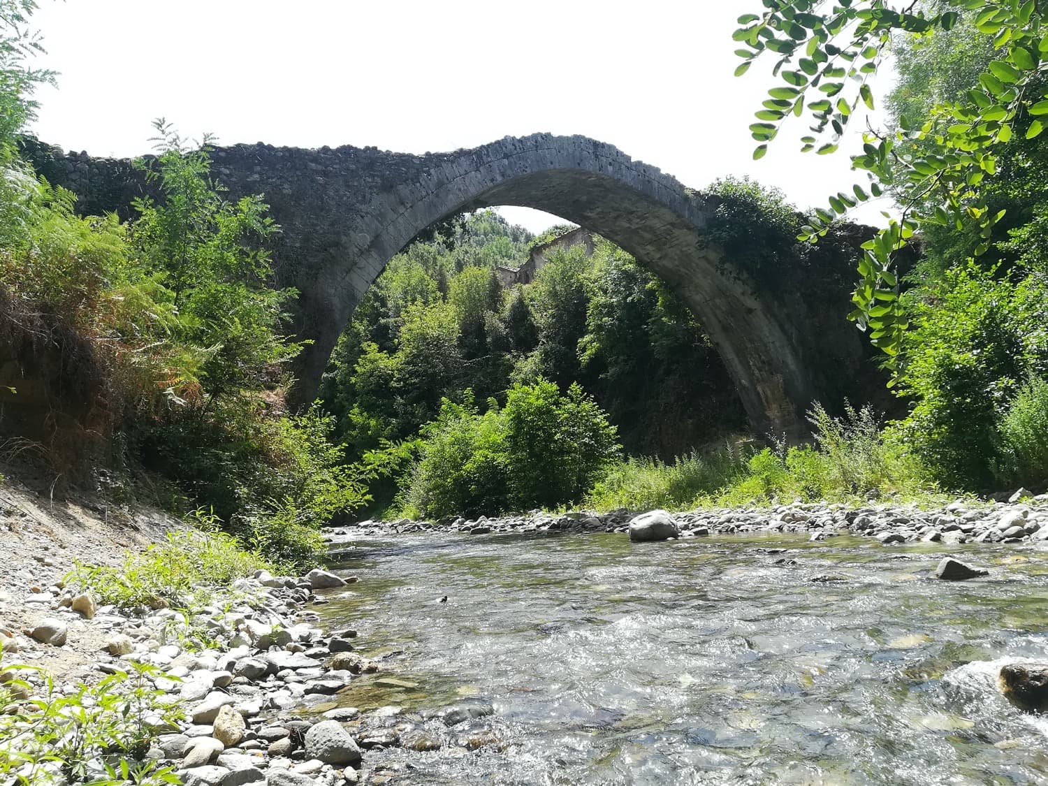 Calabria d'acqua dolce: tra ponti romani e cascate nella valle del ...