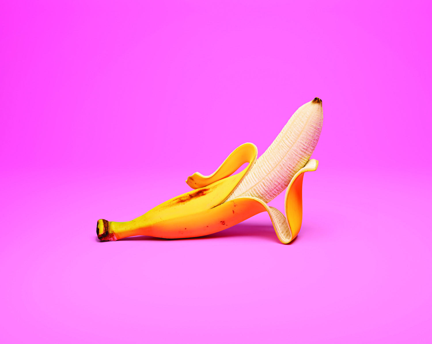 Illustri Festival, a Vicenza in mostra disegnatori da tutto il mondo ...